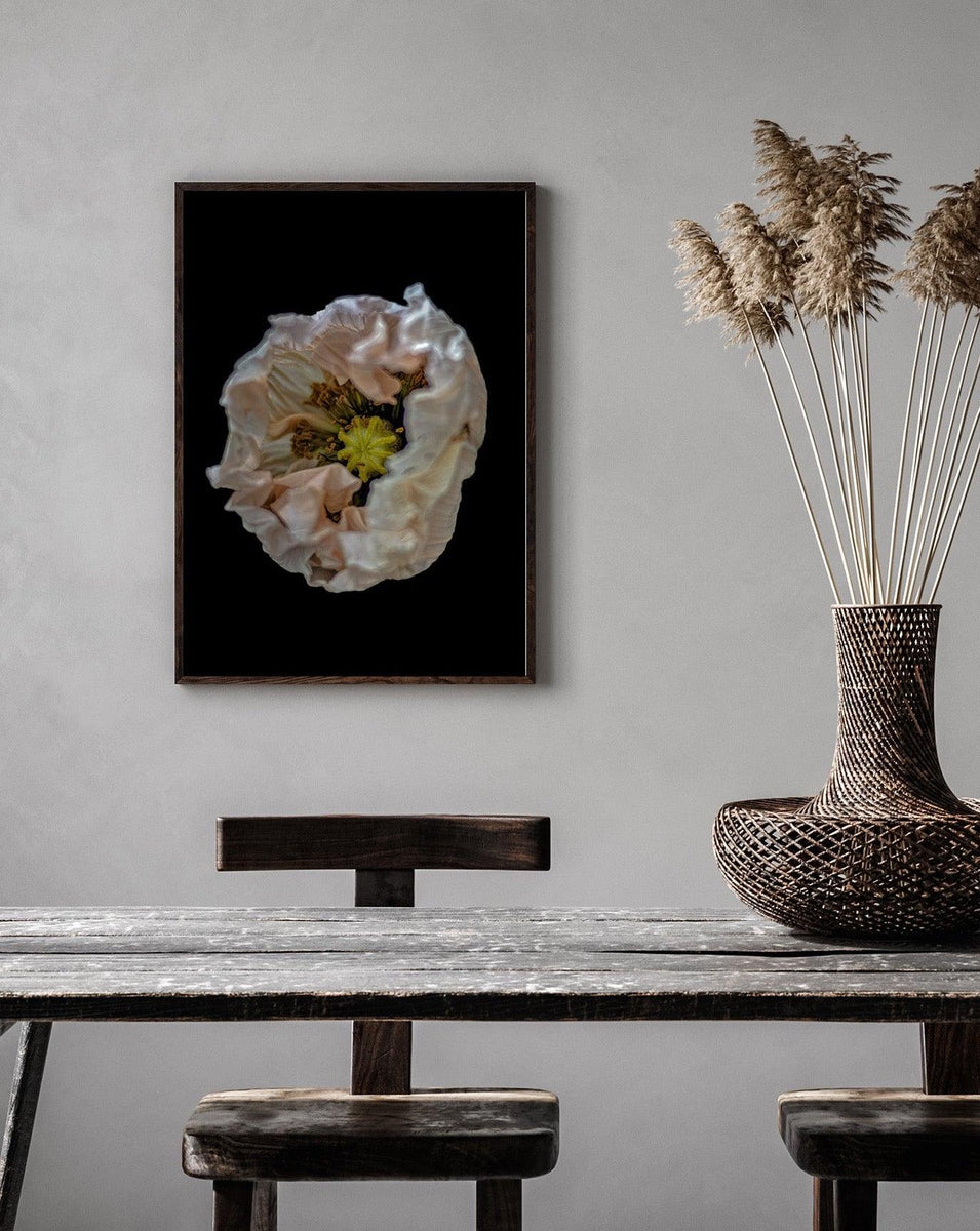 Hollow - Ethereal Portraits of Mother Nature. Giclée Art Photography ...
