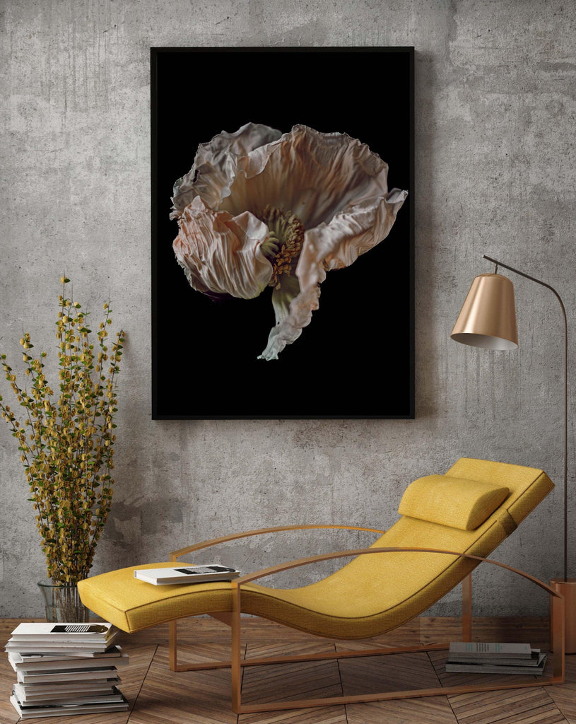 Poppy In Motion - Ethereal Portraits of Nature. Giclée Art Photography ...