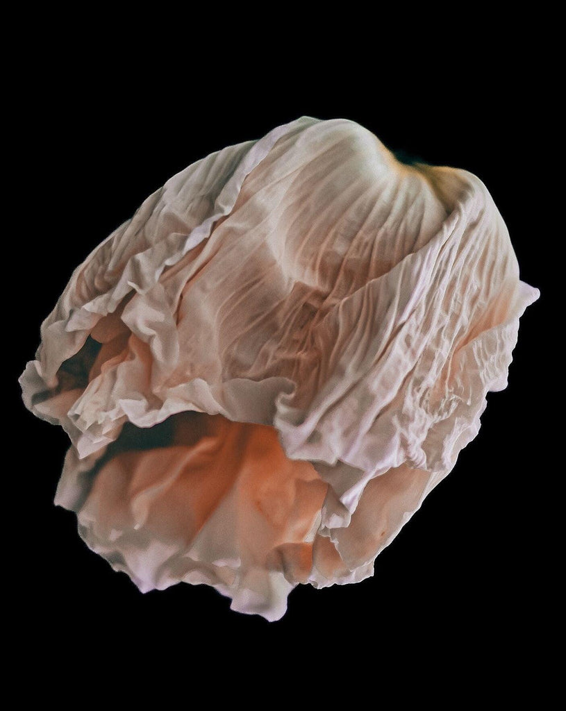 Ripple - Ethereal Portraits of Mother Nature. Giclée Art Photography ...